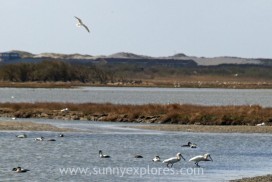 5 things to do on the island Vlieland in Holland