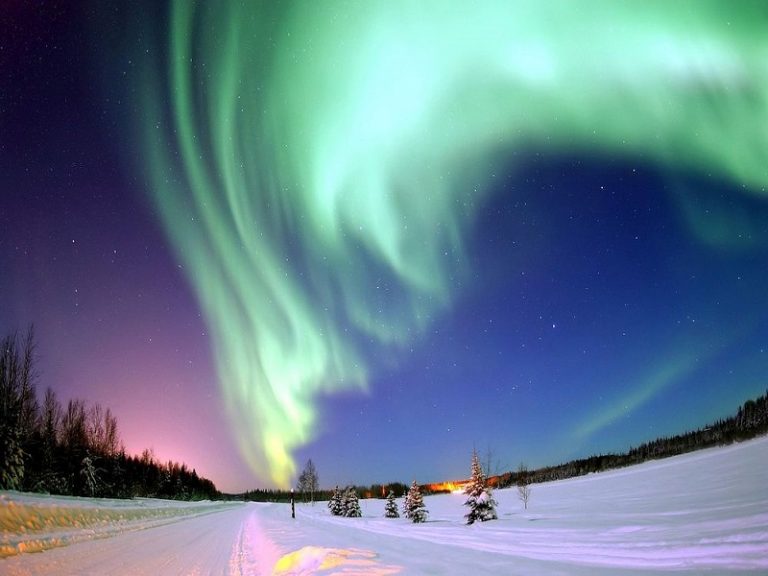 A husky safari: exploring Finnish Lapland in the winter