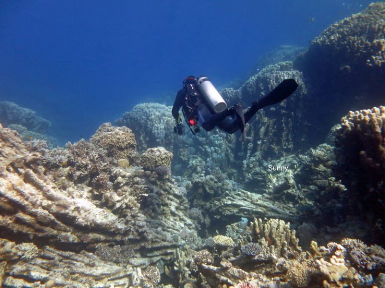 Dive sites in Dahab Egypt: Islands