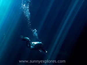 Diving the cenotes in Yucatán Mexico: El Pit Cenote