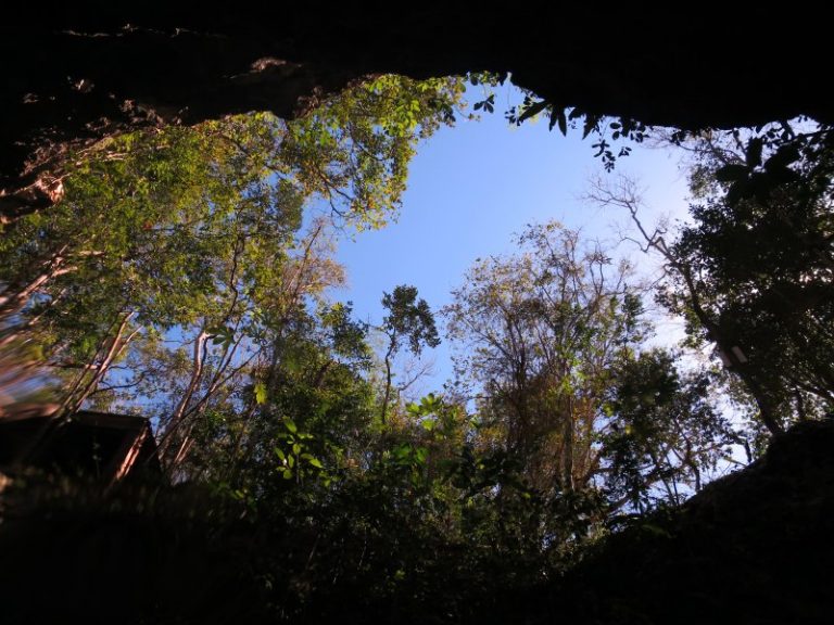 Diving the cenotes in Yucatán Mexico: El Pit Cenote