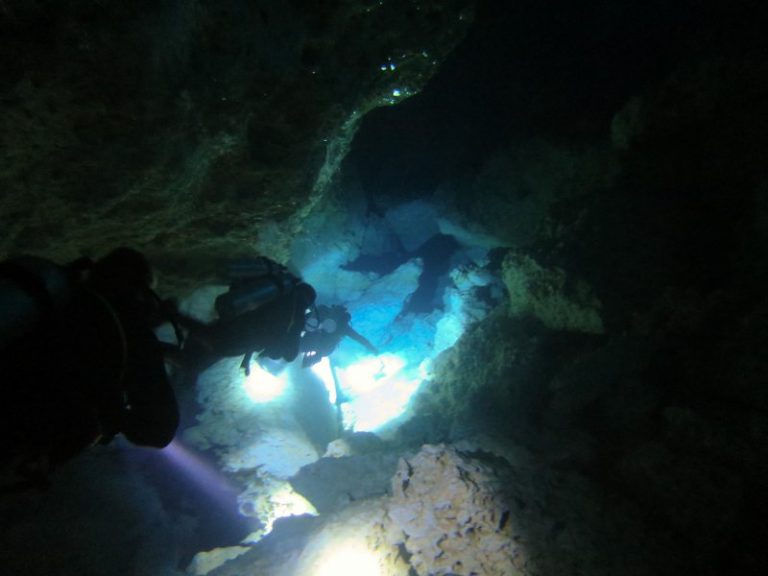 Diving the cenotes in Yucatán Mexico: El Pit Cenote