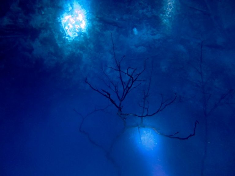 Diving the cenotes in Yucatán Mexico: El Pit Cenote