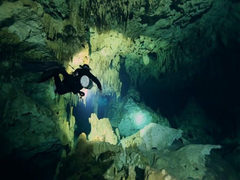Diving the cenotes in Yucatán Mexico: Cenote Dreamgate