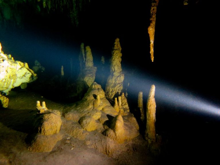 Diving the cenotes in Yucatán Mexico: Cenote Dreamgate