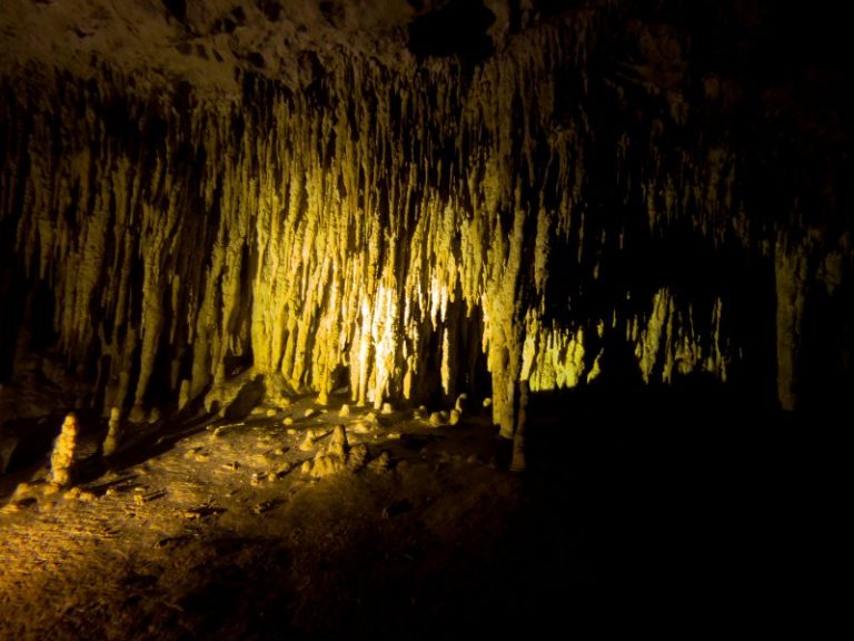 Diving the cenotes in Yucatán Mexico: Cenote Dreamgate