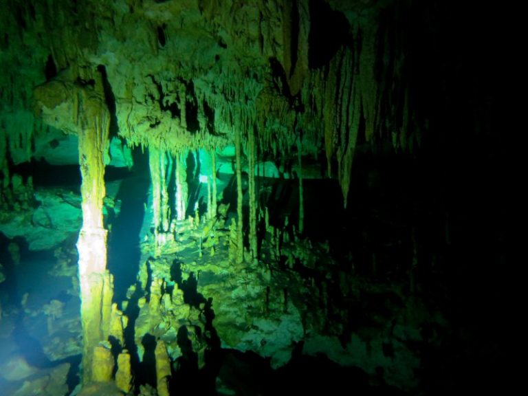 Diving the cenotes in Yucatán Mexico: Cenote Dreamgate