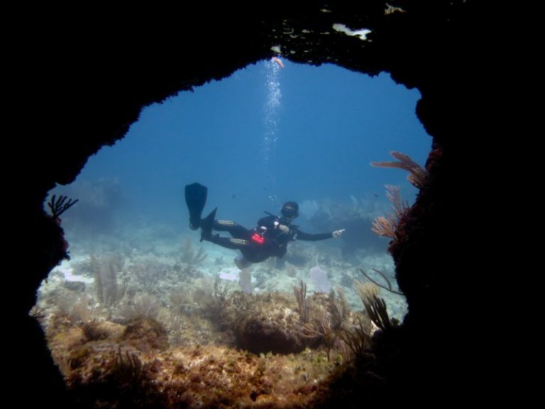 Diving in Mexico: Tulum Reef dives